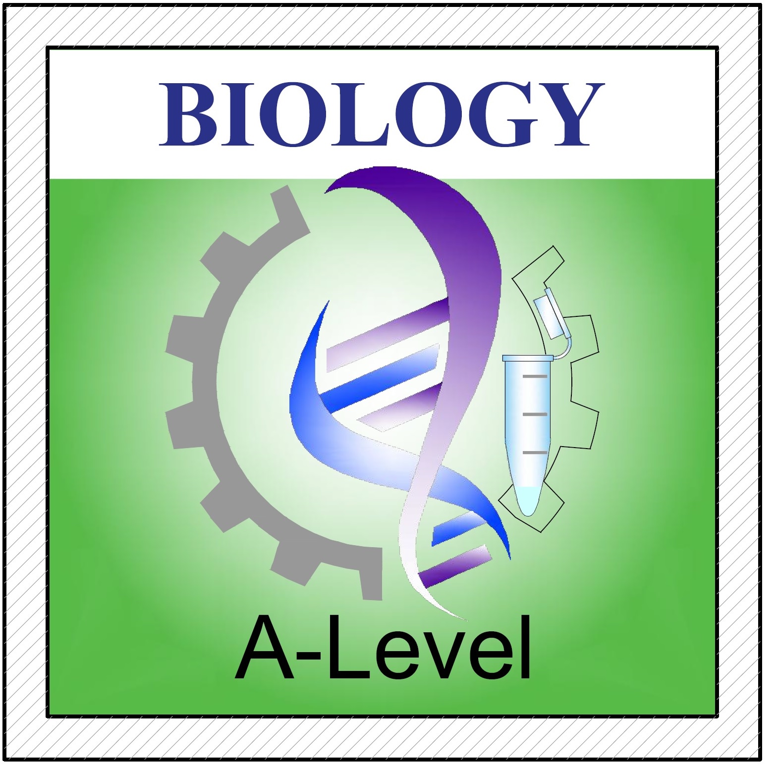 Milestone online group courses